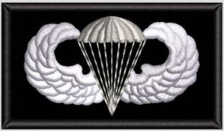 Combat Infantry Badge - CIB Patch