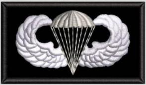 Combat Infantry Badge - CIB Patch